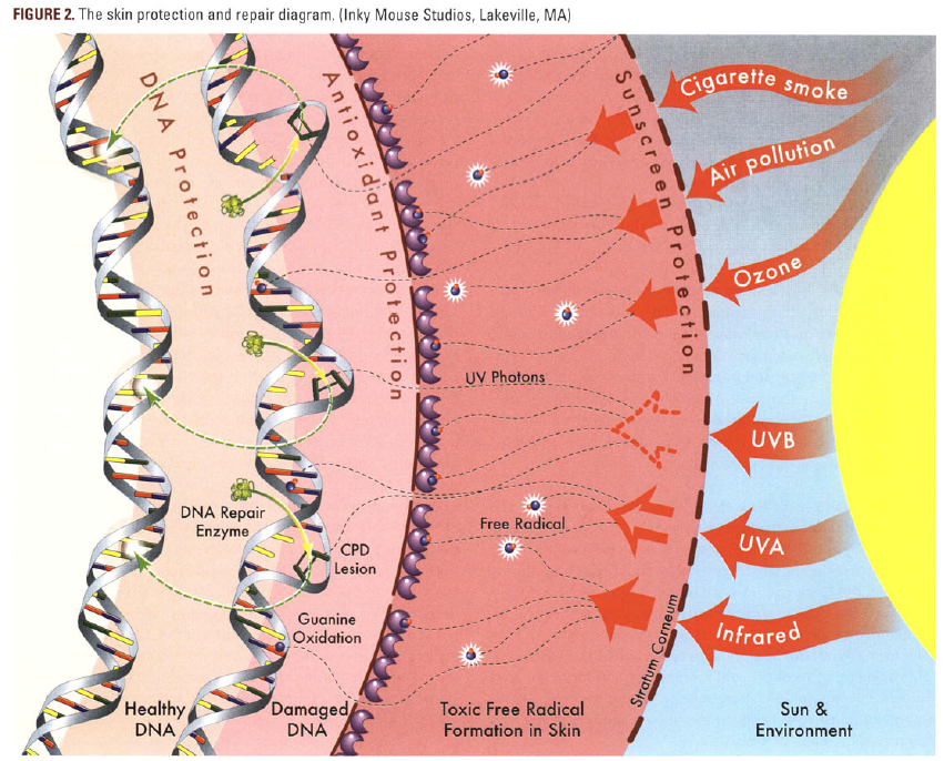 Bright Skin Essentials – Aspect Skincare